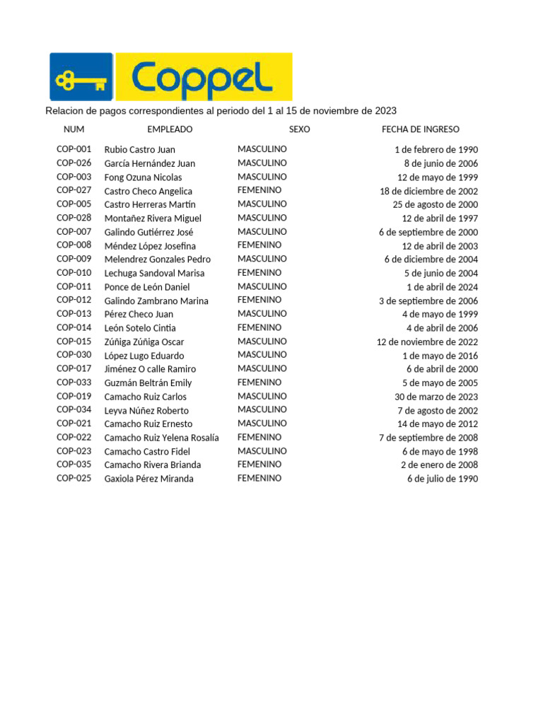 Proyecto Coppel | PDF