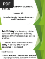 Medical Terminology Chapter 2 Study Guide | PDF