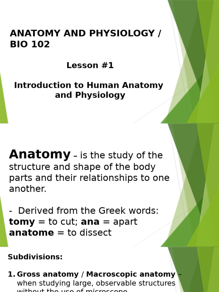 Lesson 1 Ana Physio 24 25 | PDF | Vertebral Column | Anatomy