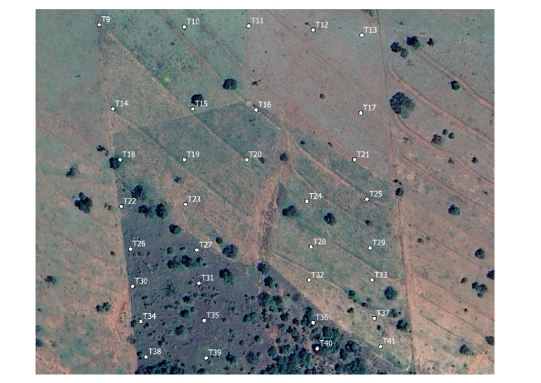 Mapa Campo | PDF