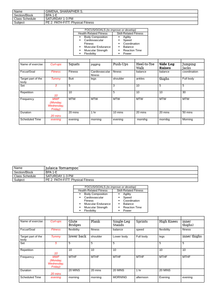 Physical Exercise Activity | PDF | Physical Fitness | Endurance