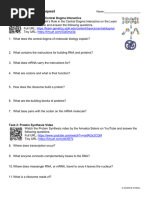 Protein Synthesis Race Overview | PDF | Teaching Methods & Materials ...