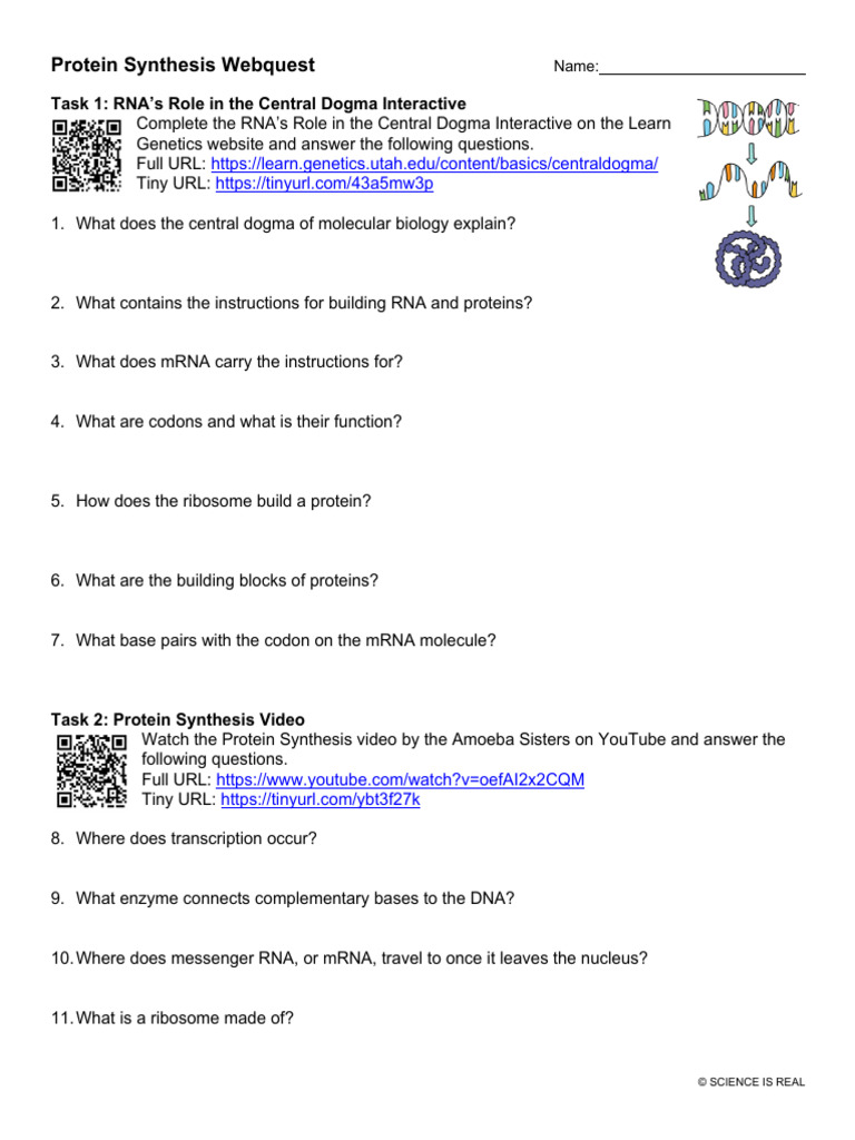 Liam Pierce - Handout For Protein Synthesis Webquest - Pdf.kami | PDF ...