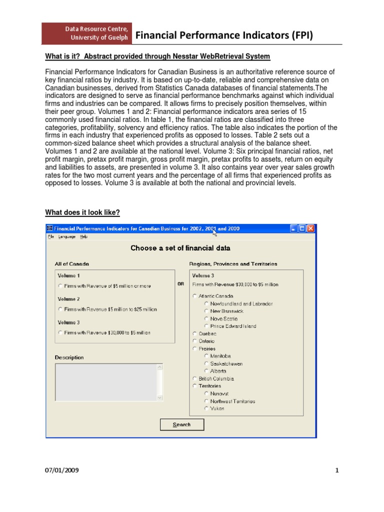 FPI-Financial Performance Indicators | PDF | Financial Ratio | Balance ...