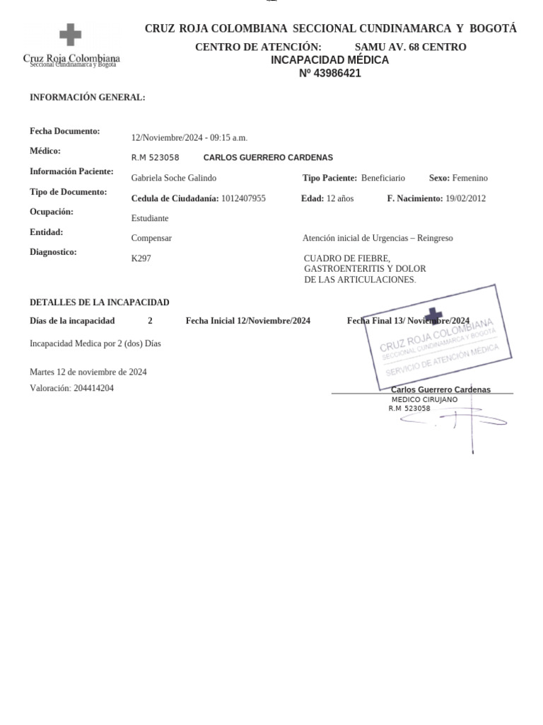 Incapacidad Gaby | PDF