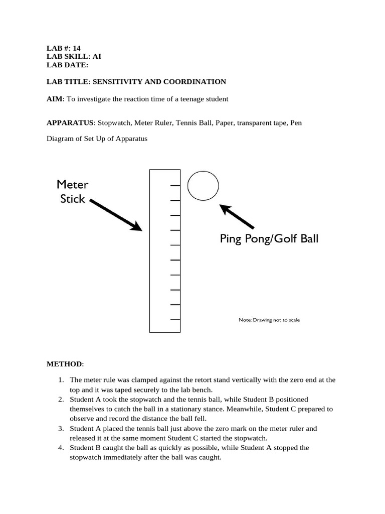 Lab Handout 14 Reaction Time Lab | PDF