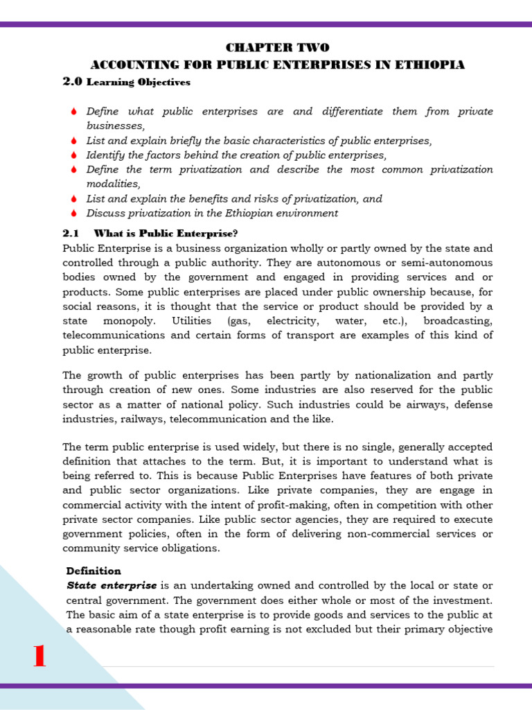 CHAPTER TWO Advanced Accounting | PDF | Equity (Finance) | Privatization