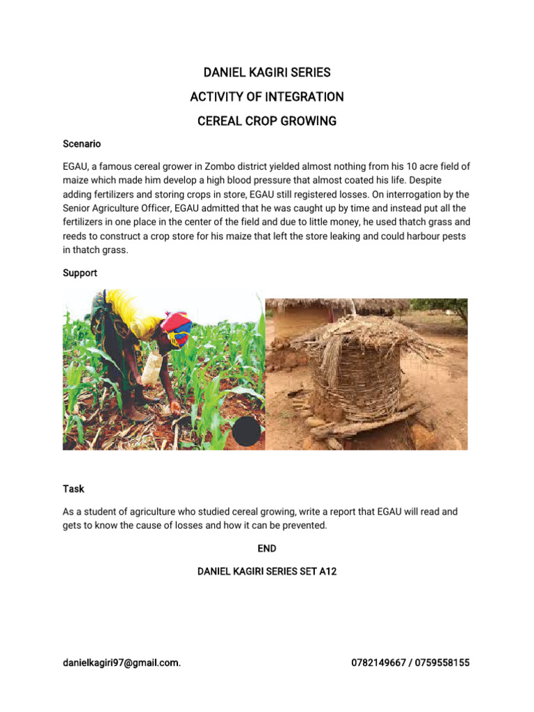 A.O.I Cereal Crop Growing Daniel Kagiri Series Set A12 | PDF