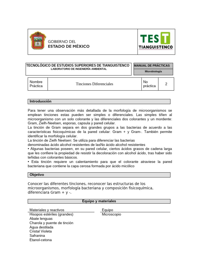 Pract 2 Micro | PDF | Tinción | Las bacterias