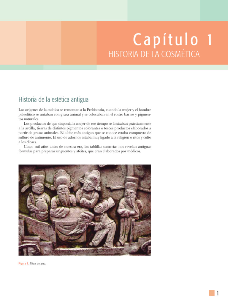 Capitulo1 Web | PDF | Productos cosméticos