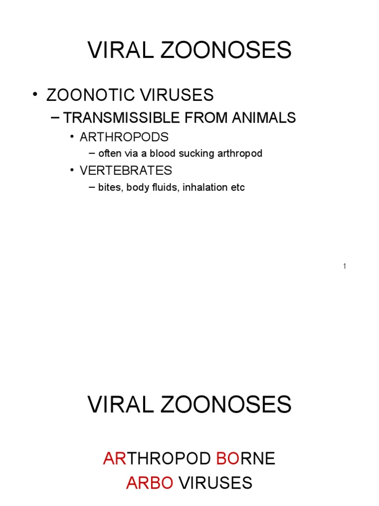 Arbo Viruses | PDF | Virus | Clinical Pathology
