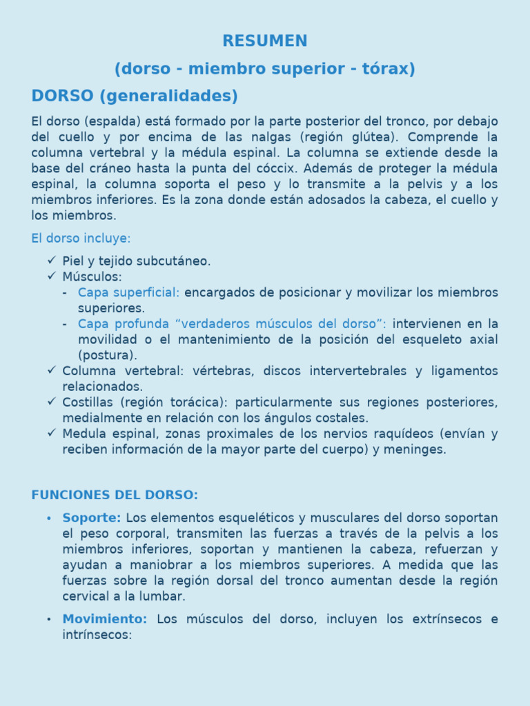 RESUMEN, dorso, miembro superior y toràx. | PDF | La columna vertebral | Vértebra