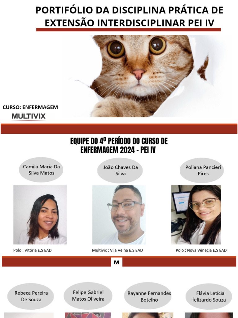 Entrega Do Portfólio Pei IV | PDF | Gatos | Gravidez