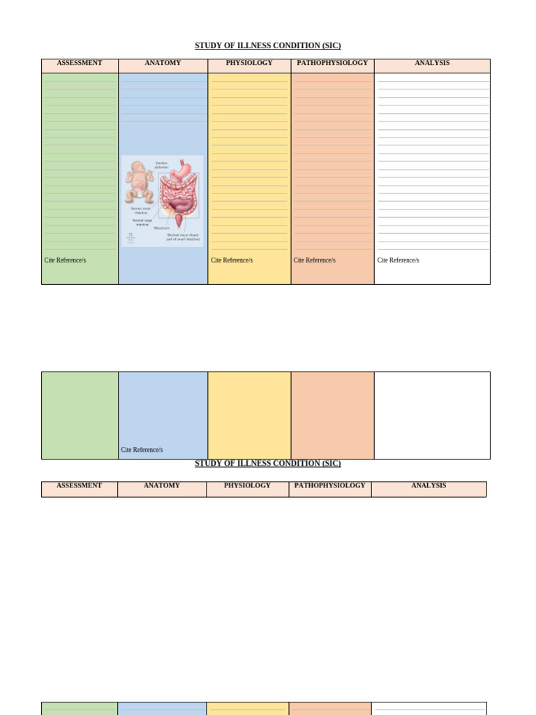 Format-Sic NCP Drug | PDF