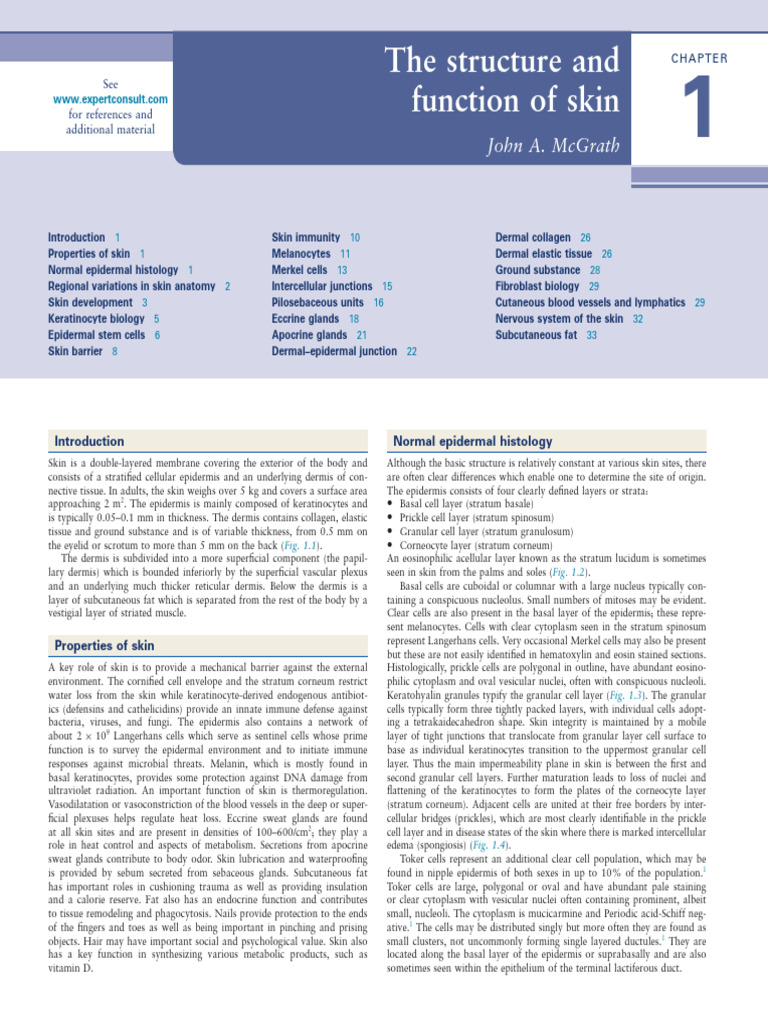 Capítulo 1: Estructura y Función de La Piel | PDF | Skin | Epidermis