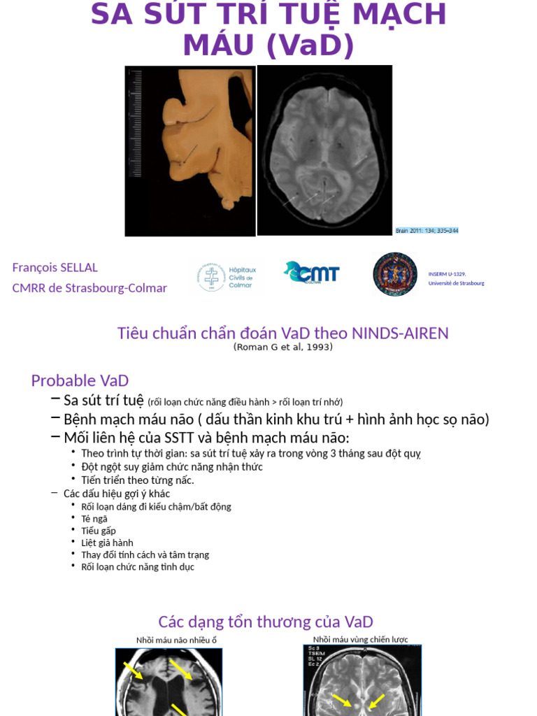 3. SSTT mạch máu | PDF