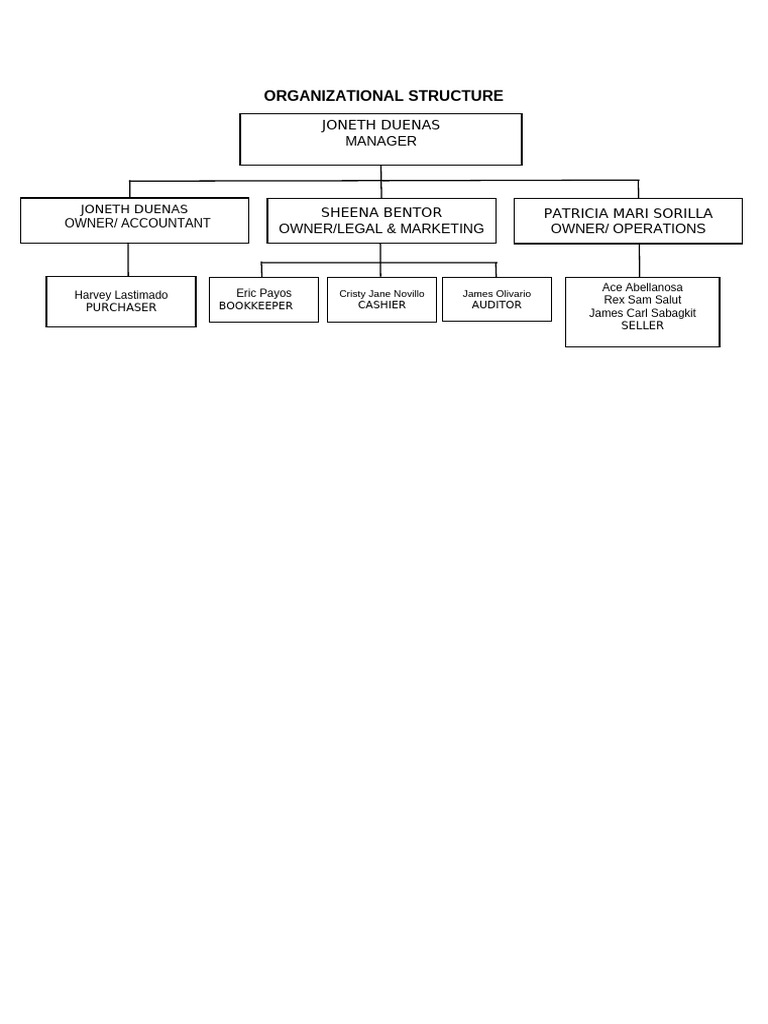 Organizational Structure: Manager | PDF