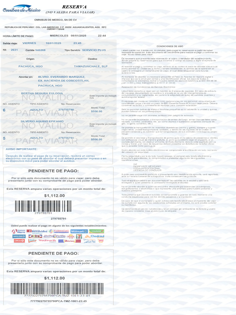 Pase de Abordar | PDF