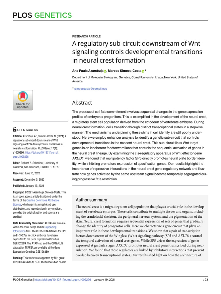 A regulatory sub-circuit downstream of Wnt signaling controls ...