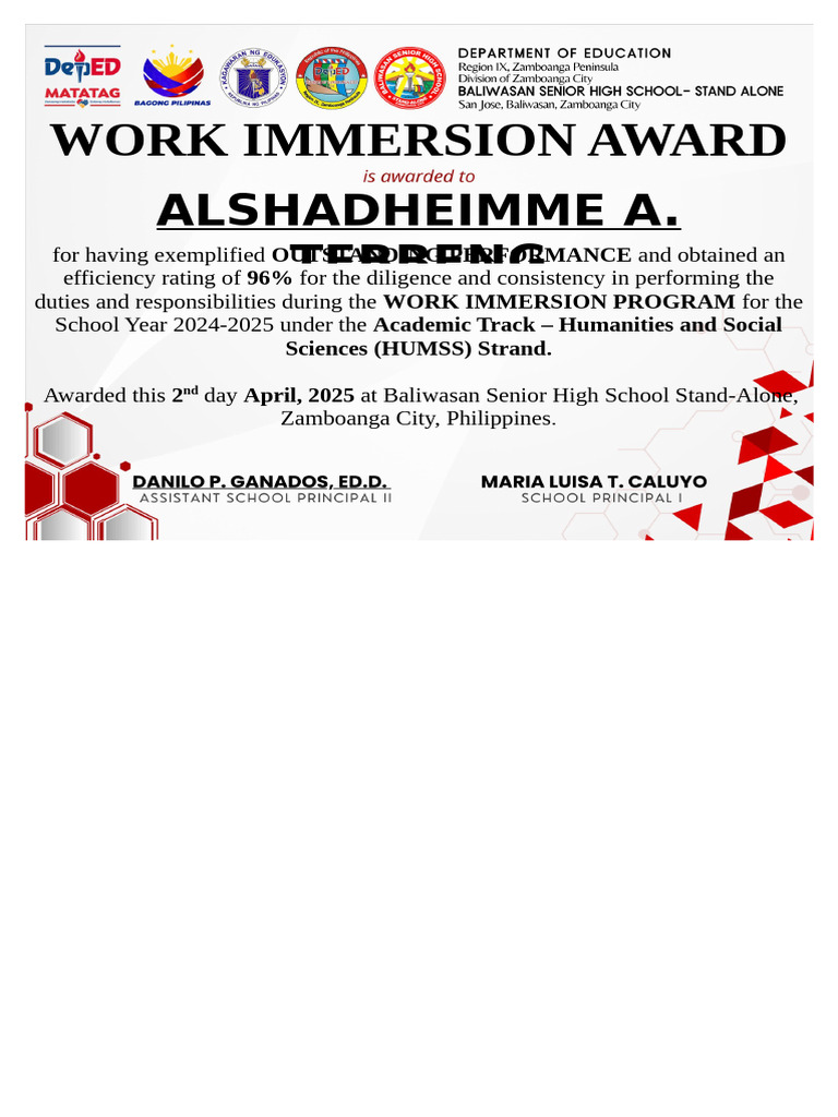 Outstanding Work Immersion Award 2025 | PDF