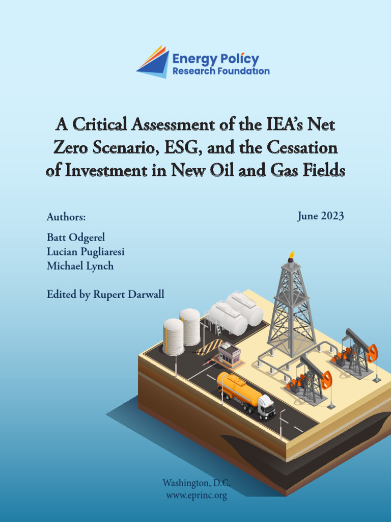 2205 a Critical Assessment of the Ieas Net Zero Scenario Esg and the ...