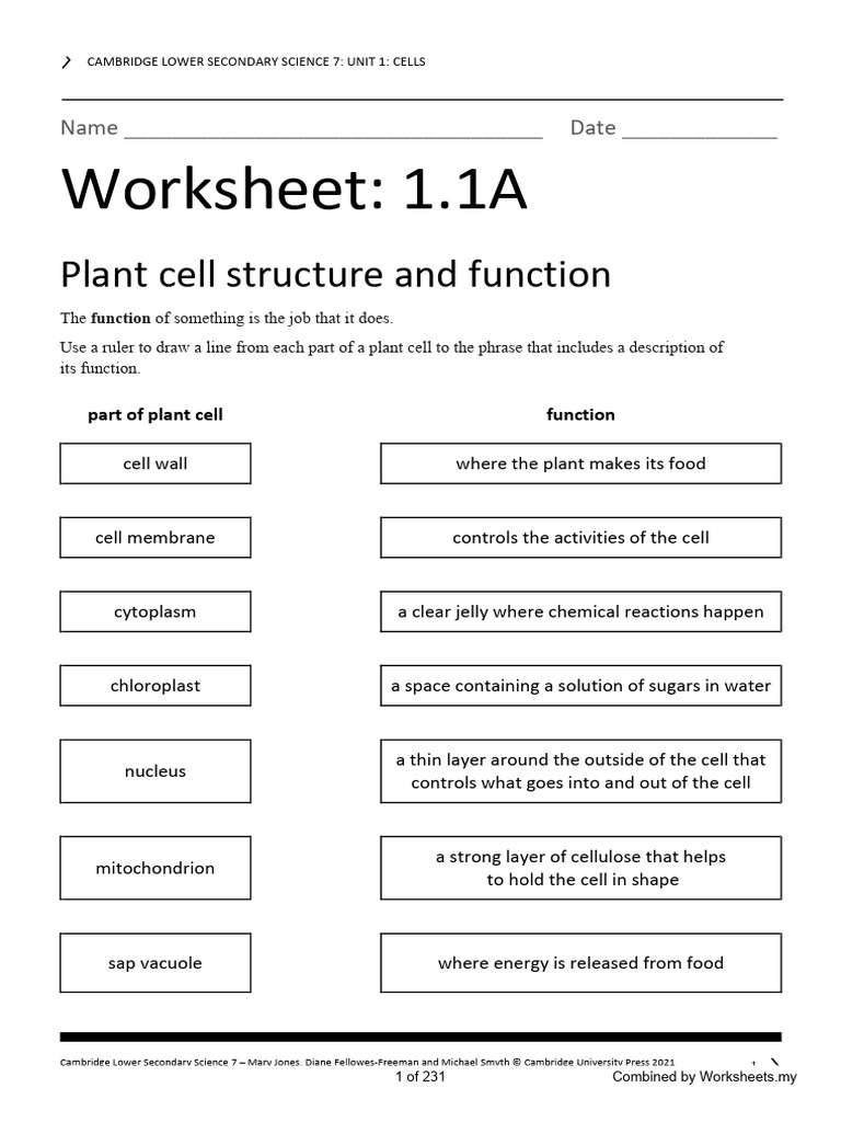 Topical Worksheets Science Y7 | PDF | Cell (Biology) | Atmosphere Of Earth