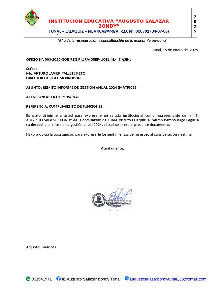 OFICIO N° 003 INFORMES DE GESTION ANUAL (MATRICES 3) | PDF