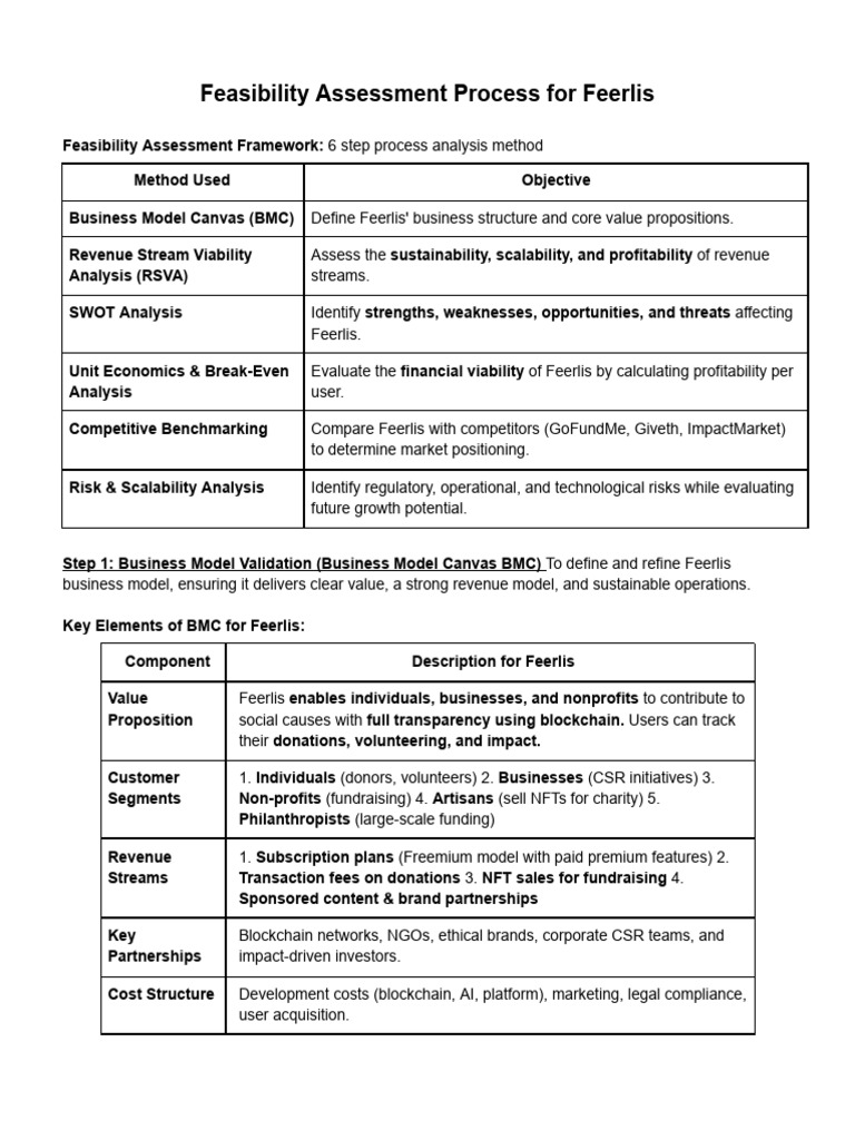 Feerlis Feasibility Assessment Framework | PDF | Corporate Social Responsibility | Fundraising