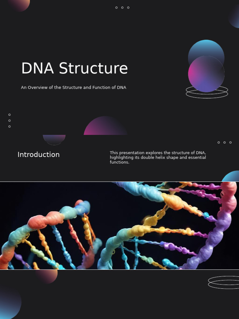 DNA Structure | PDF