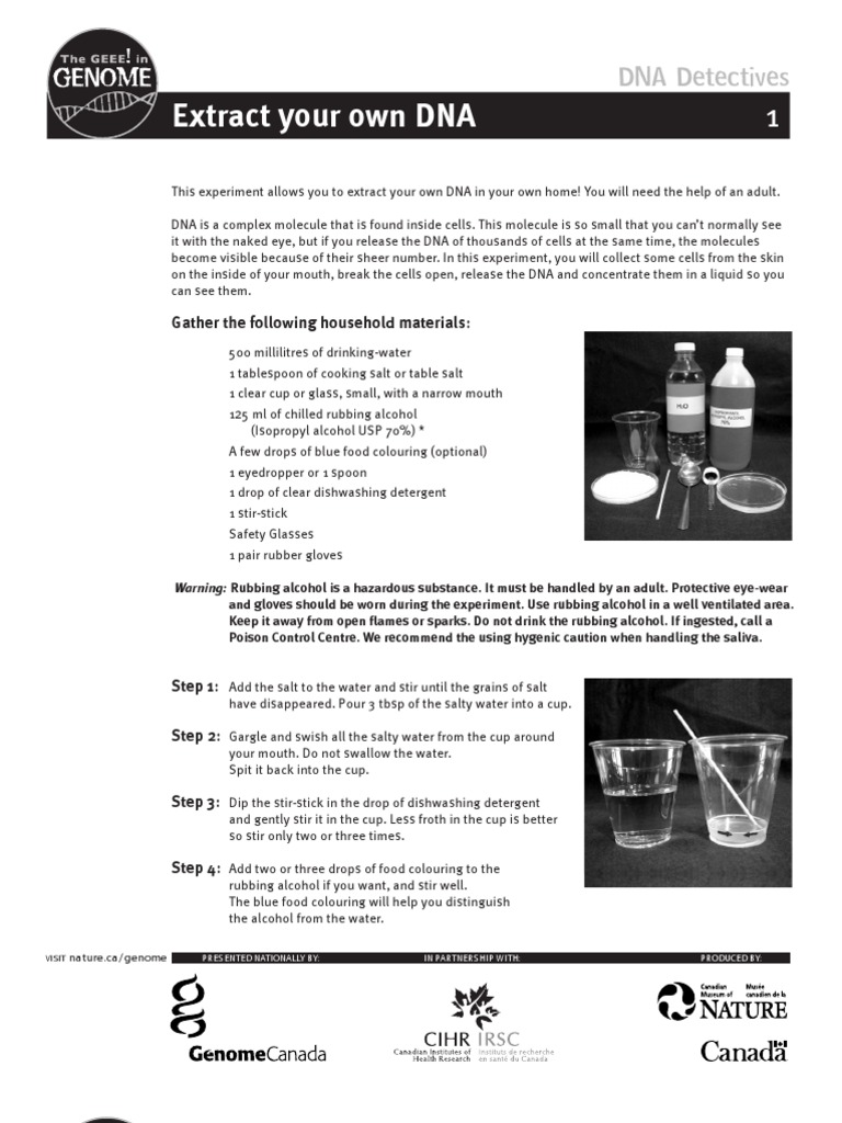 Extract DNA at Home Experiment | PDF