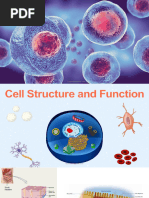 W3 - NOTES - Q2 - G7SCIENCE Unicellular and Multicellular Organisms ...