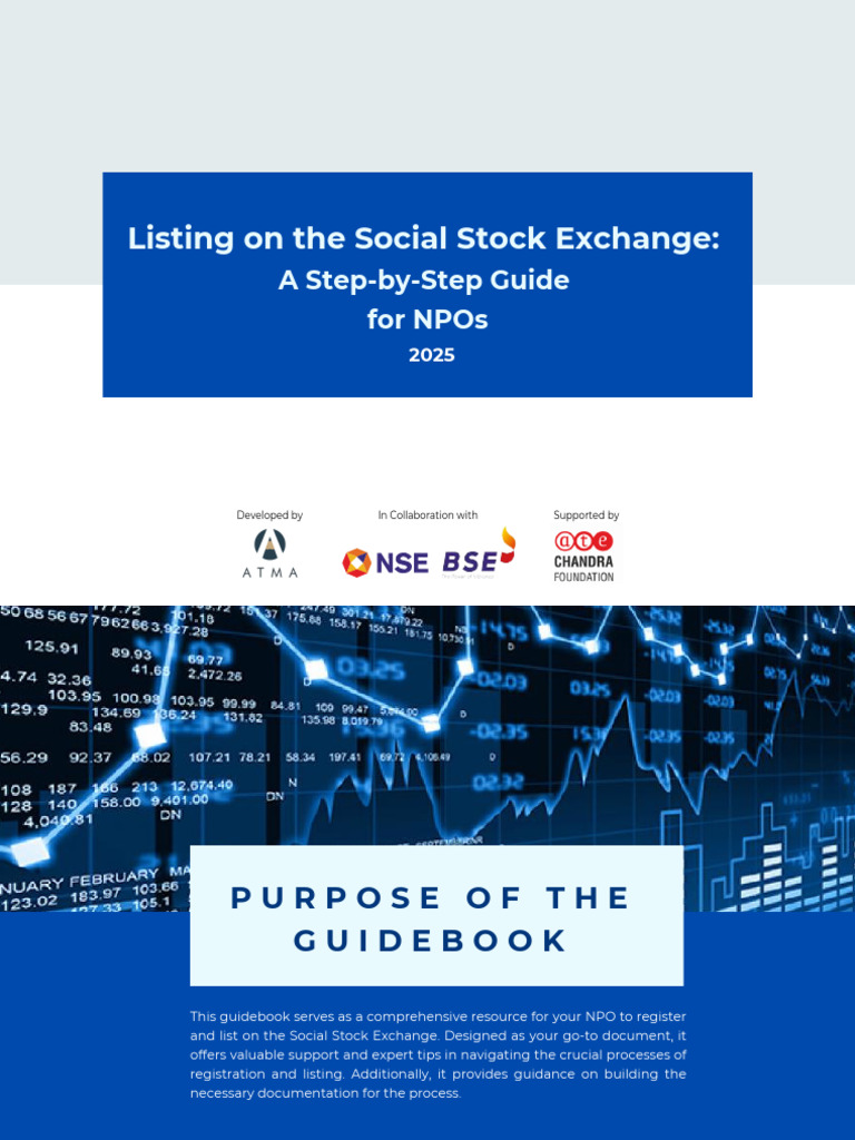 NPO Guide to Register on SSE | PDF | Nonprofit Organization | Audit