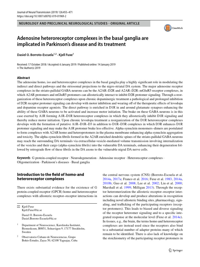 Adenosine Heteroreceptor Complexes in The Basal Ganglia | PDF | Dopamine Receptor D2 | Nmda Receptor