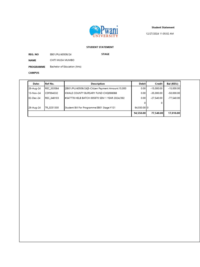 Student Financial Statement | PDF