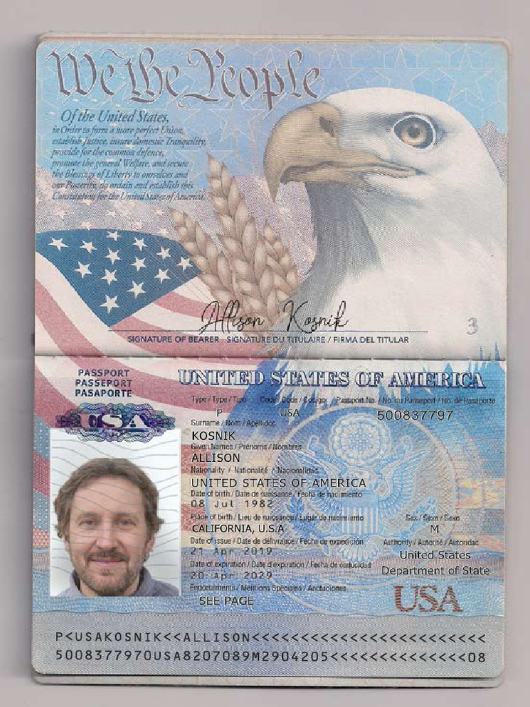 Allison Kosnik | PDF