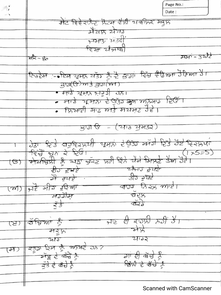 Punjabi Sample Paper Class VII | PDF