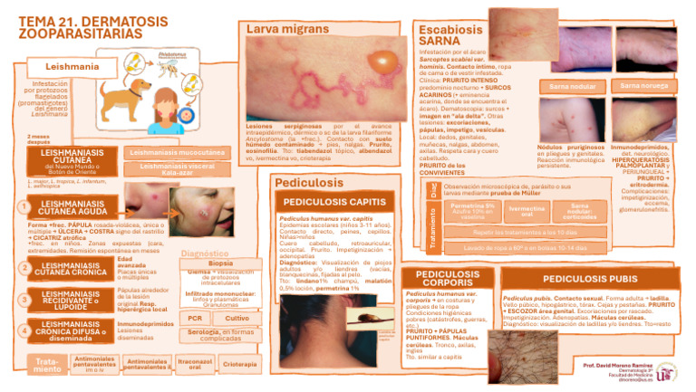 TEMA 21 Esquema Derma Nuevo | PDF | Enfermedades y trastornos | Dermatología
