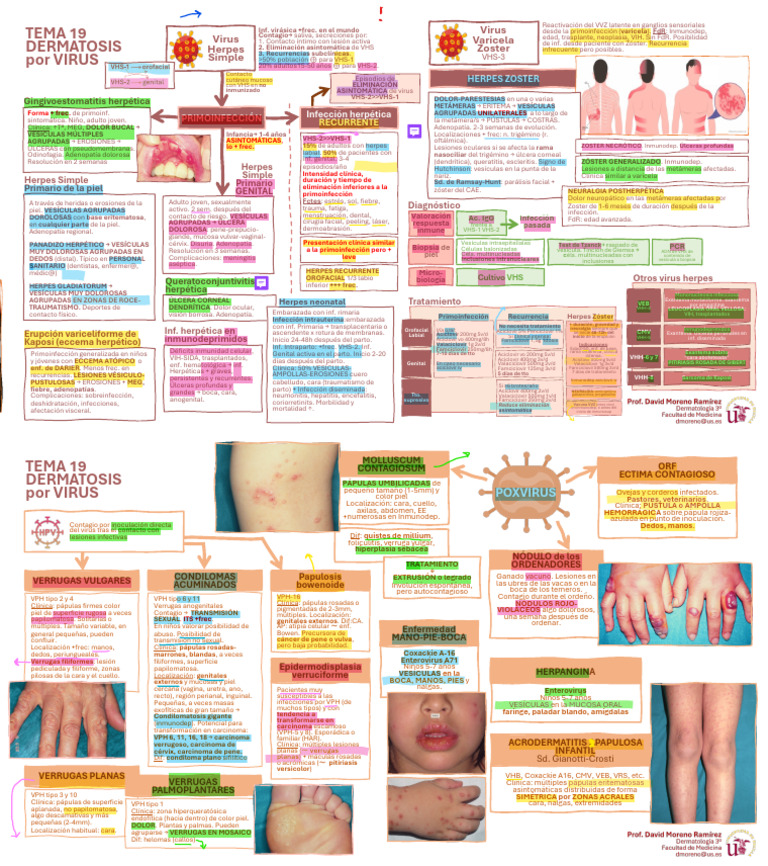TEMA 19 Esquema Derma | PDF | Medicina CLINICA | Enfermedades y trastornos