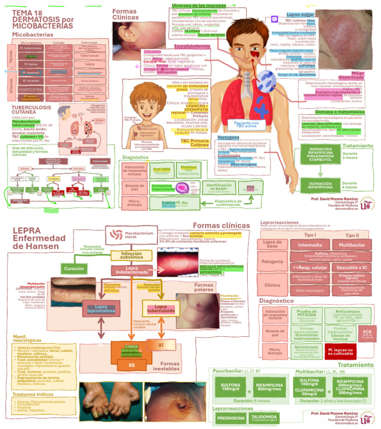 TEMA 18 Esquema Derma (1) | PDF | Tuberculosis | Mycobacterium