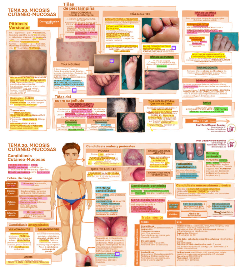 TEMA 20 Esquema Derma | PDF | Enfermedades y trastornos | Inmunología