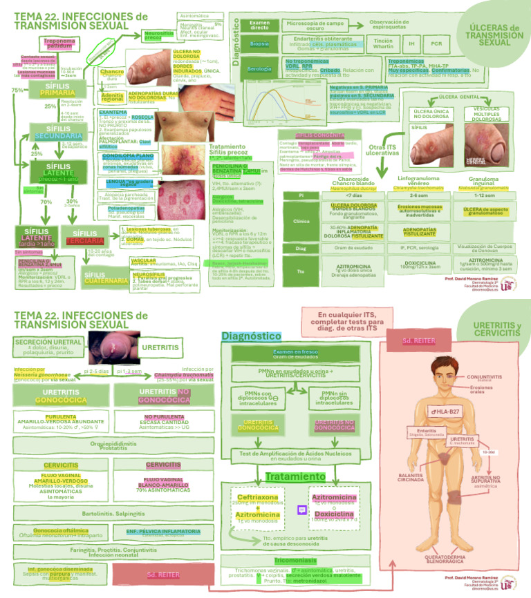 TEMA 22 Esquema Derma | PDF | Enfermedades del sistema genitourinario | Salud sexual
