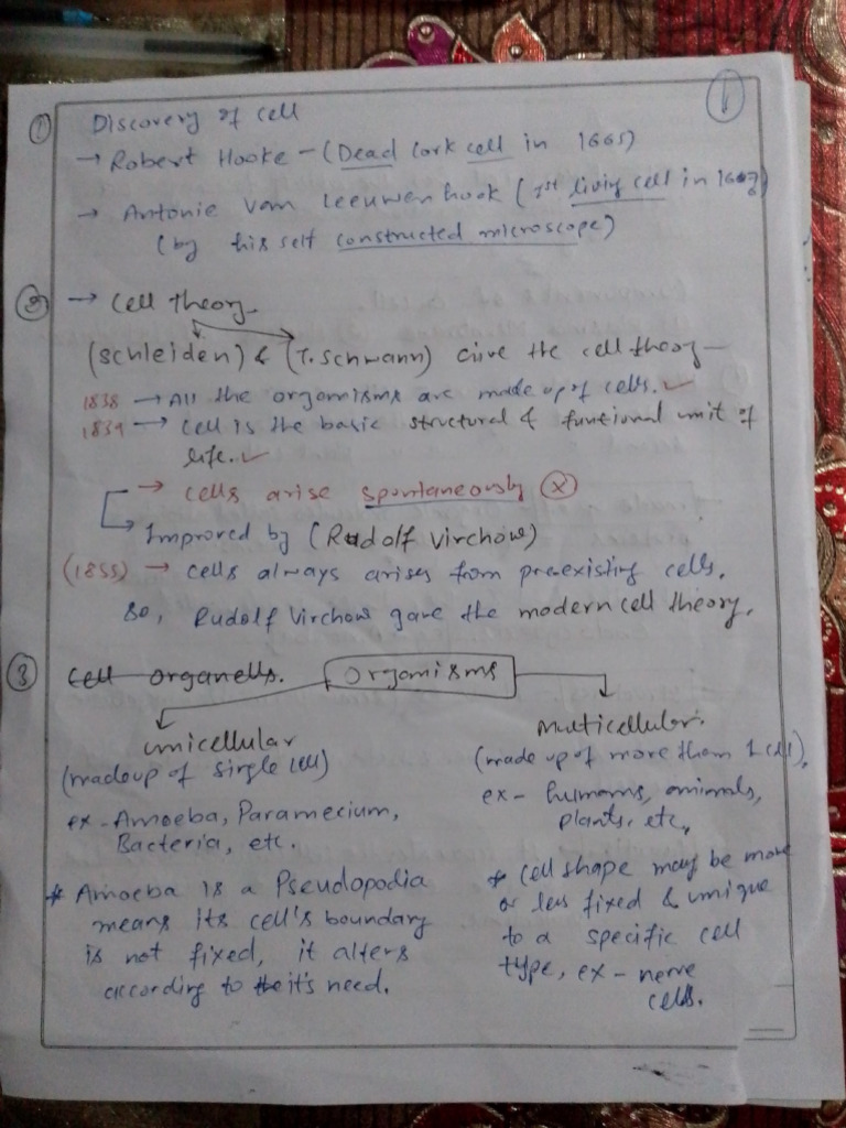 Class 9 Cell by Shikhar Srivastava | PDF