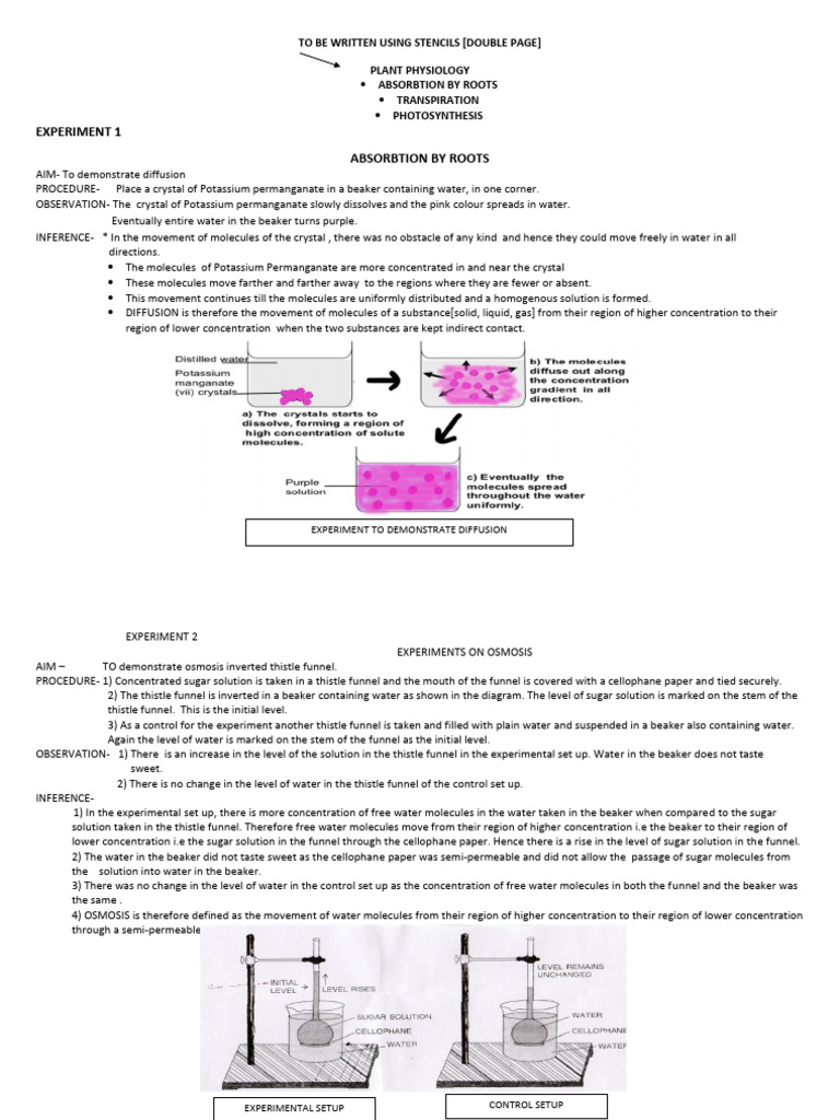Expt 1 To 4 Absorbtion by Roots | PDF | Osmosis | Water