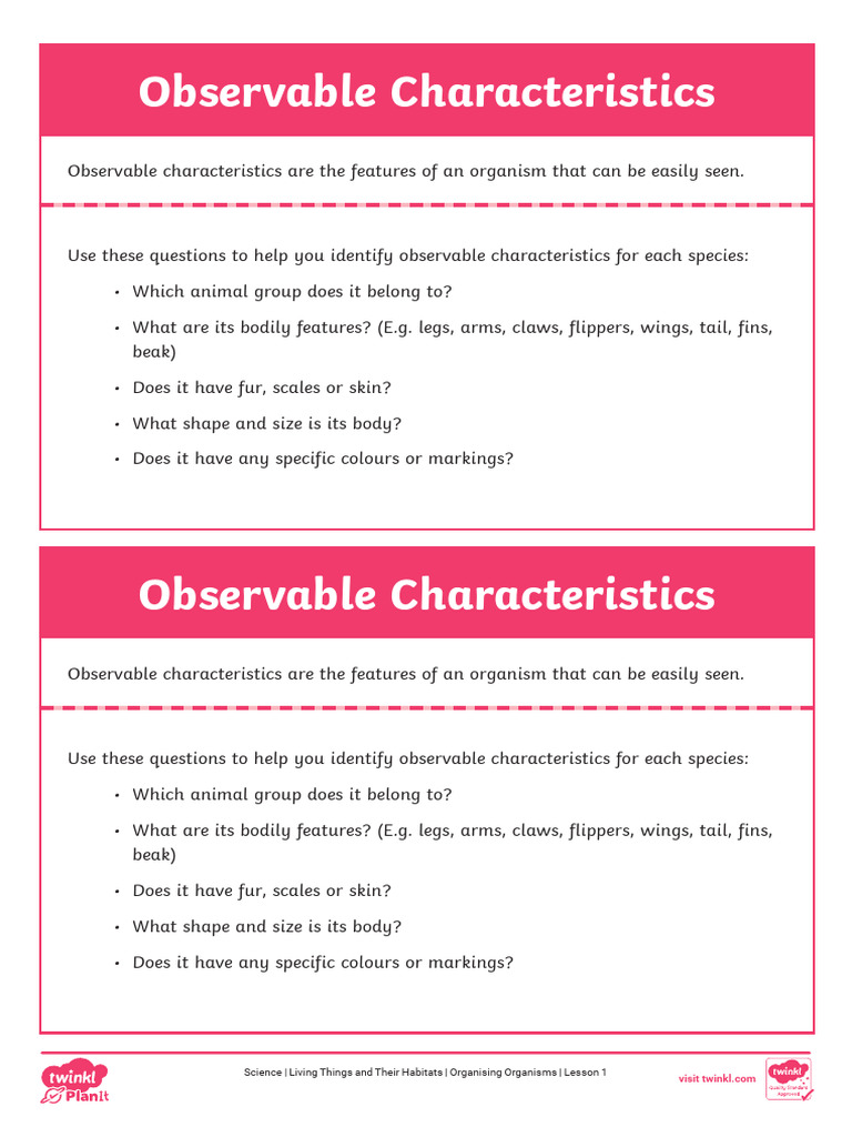 Observable Characteristics Prompt Card | PDF
