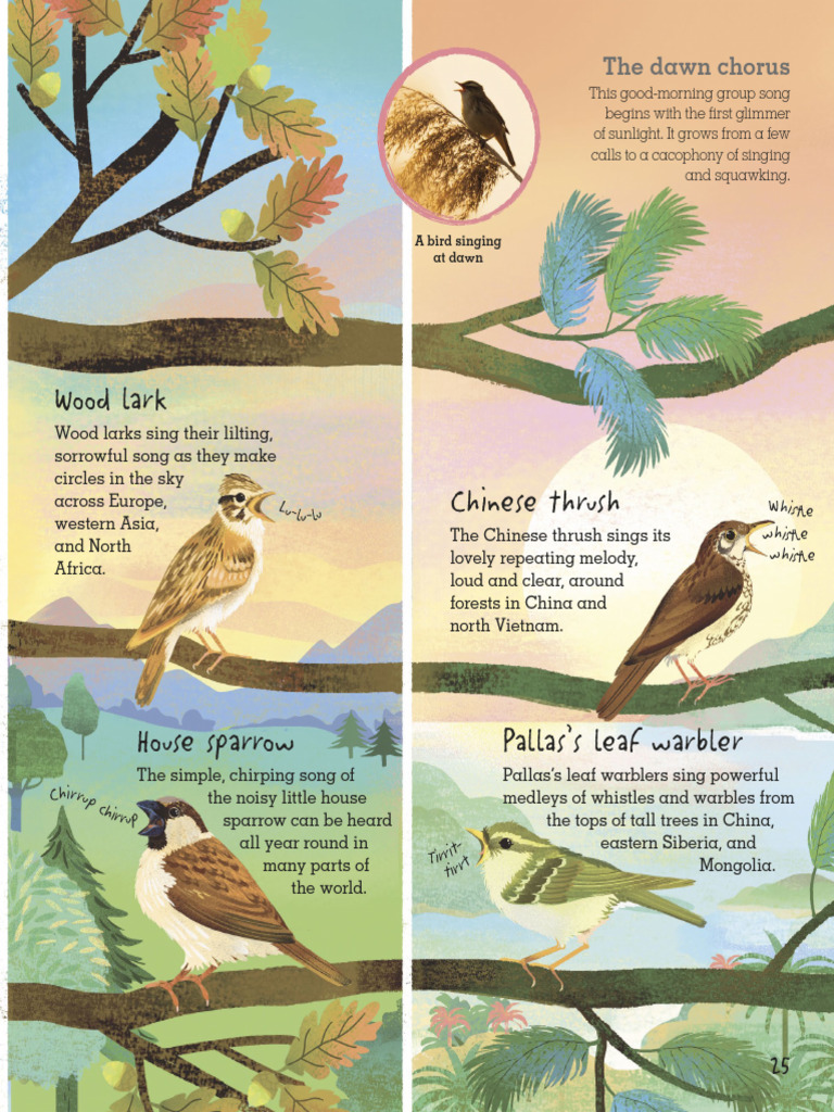 bird6 | PDF