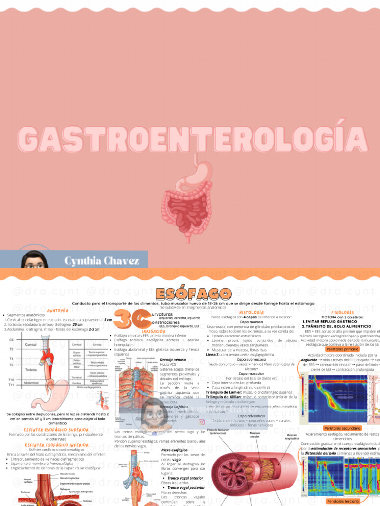 Gastro Ciru Resumen | PDF