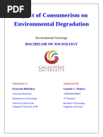 An Analysis On The Positive and Negative Effects of Consumerism | PDF ...