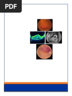 Fundus Diagram Drawing Guide | PDF | Retina | Human Eye