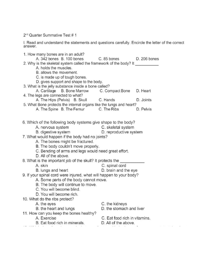 Skeletal System Test | PDF