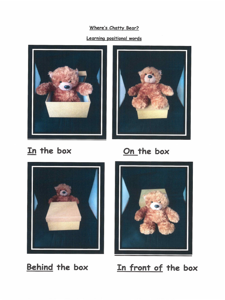 Bear | PDF